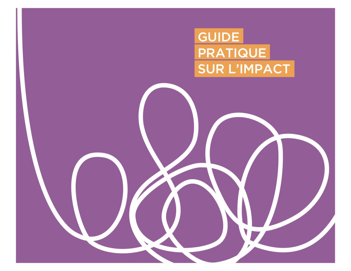 Guide pratique sur l’impact : 9 chapitres pour aborder l’impact ...